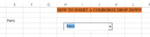 How to Use Combo Box in Excel - Best Excel Tutorial