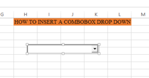 How to Use Combo Box in Excel - Best Excel Tutorial