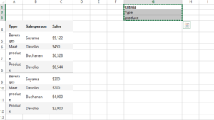 How to Use the Double Filter in Excel to Filter Data by Multiple ...